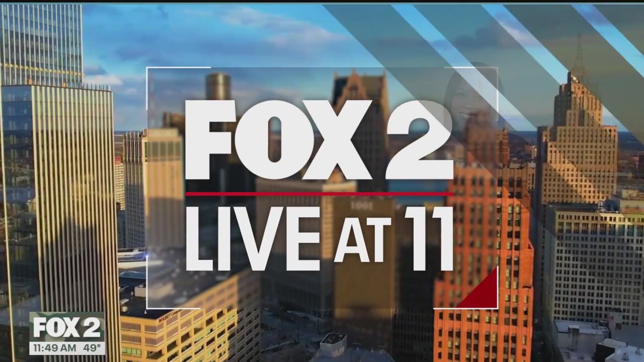 Trending this week on our website (November 11th, 2025) | FOX 2 Detroit