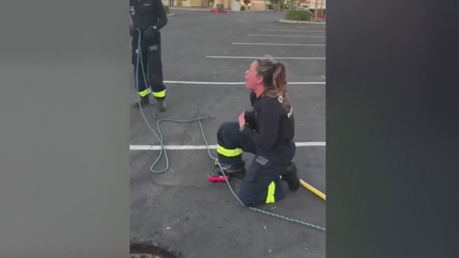Kitten in storm drain rescued by Chandler firefighters | FOX 10 Phoenix