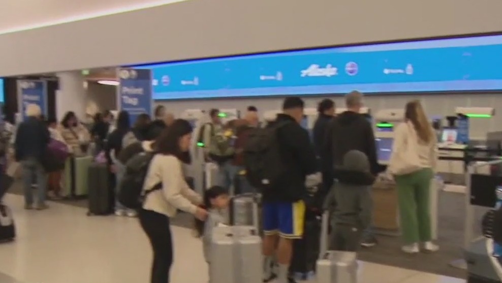 Alaska Airlines says to expect delays following fleet-grounding IT ...