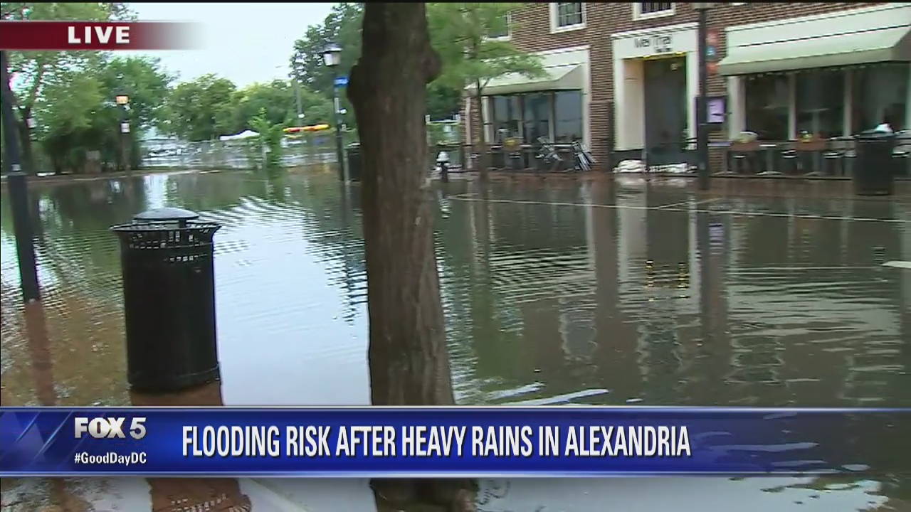 Flood waters rise in Old Town Alexandria following heavy rain | FOX 5 DC