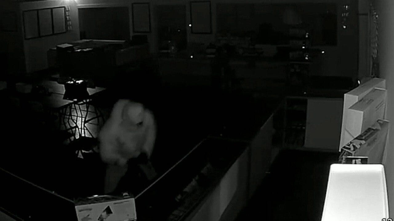 Burglar steals $100K worth of Pokemon cards | FOX 5 Atlanta