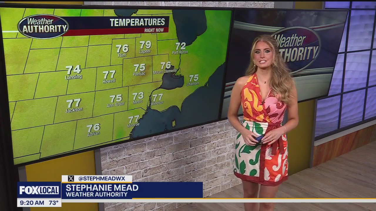 Hot and humid stretch | FOX 2 Detroit