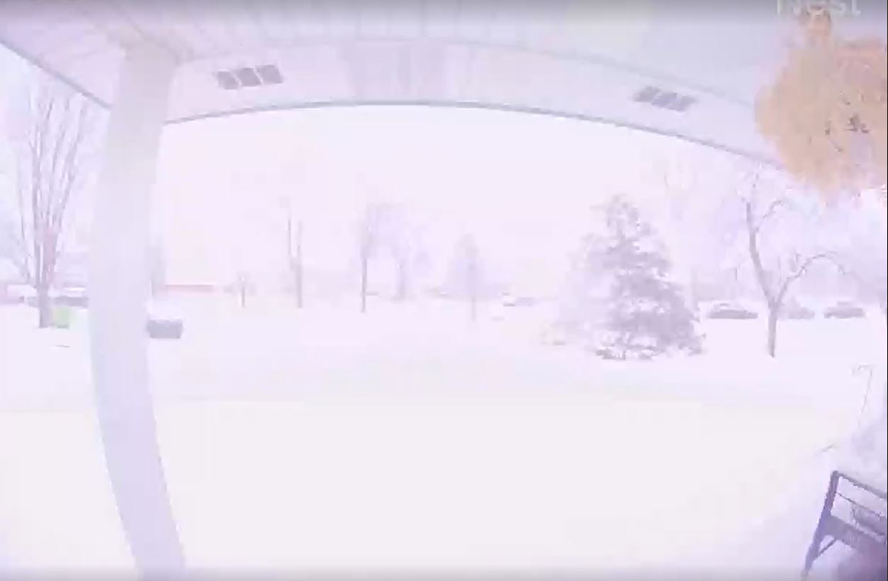 Madison Heights Thundersnow | FOX 2 Detroit