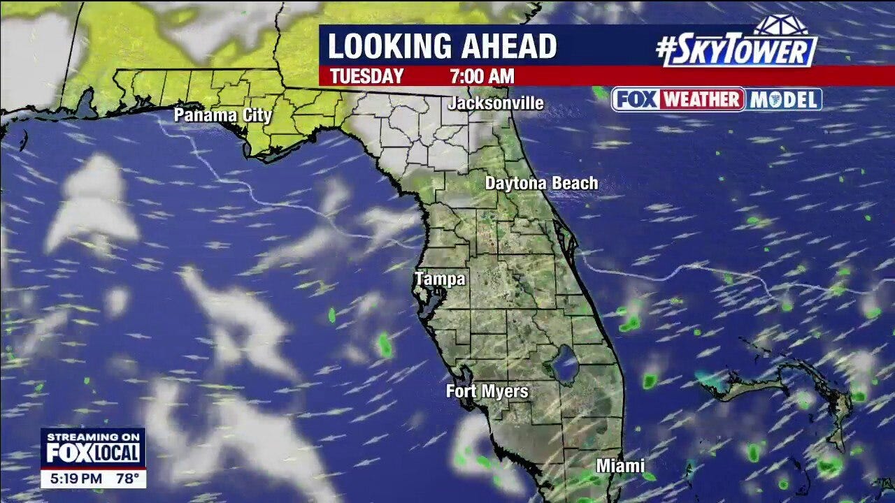 Tampa Bay weather | Unseasonably warm | FOX 13 Tampa Bay