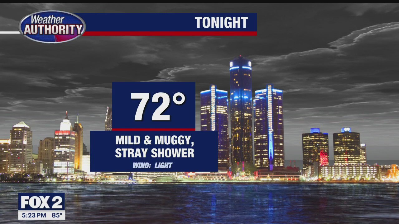 Not as hot for Wednesday, stray shower in the mix | FOX 2 Detroit