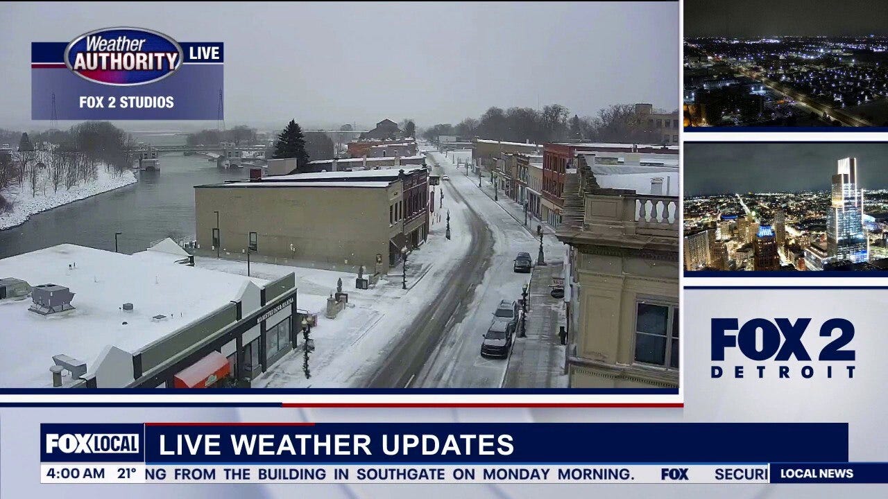 Keeping pets safe in cold: what the experts say | FOX 2 Detroit