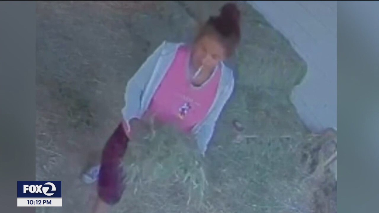 Surveillance video of woman suspected of stealing 3 pet goats in Santa ...