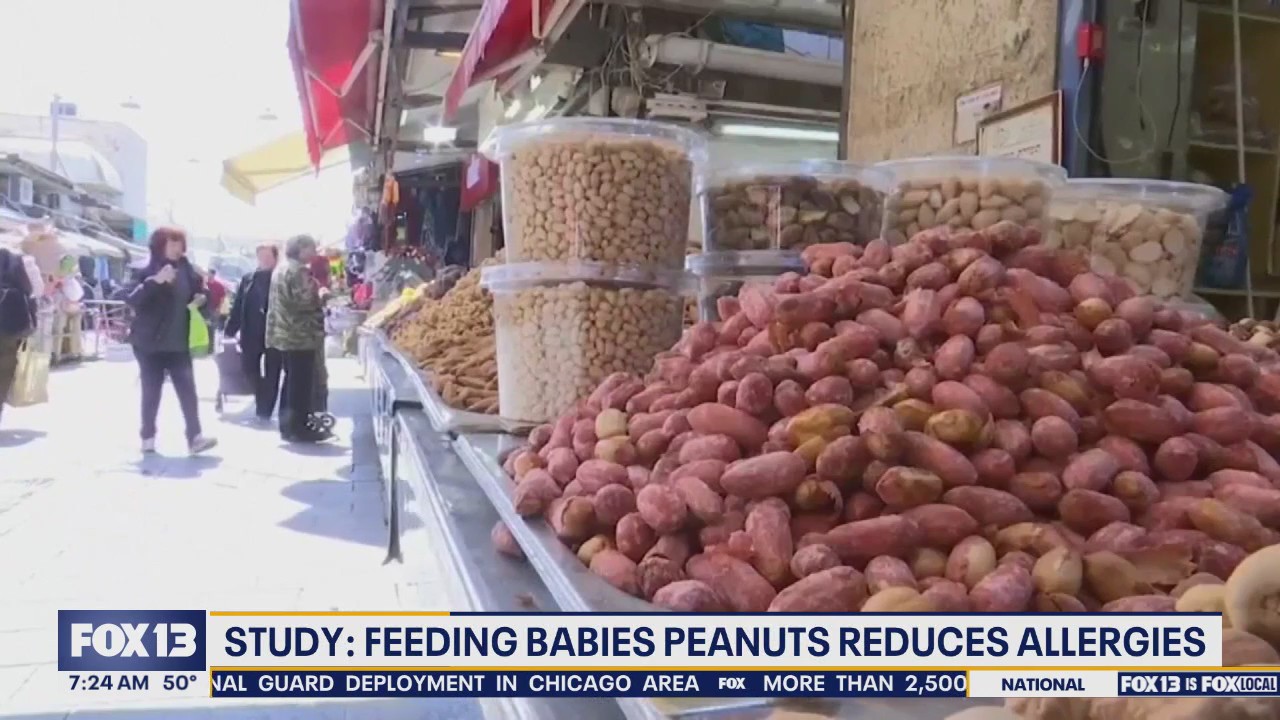 Peanut allergy study: Feeding babies peanuts reduces allergies | FOX 13 ...