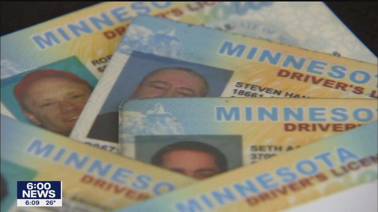 DFL 'driver's licenses for all' plan draws support from business, law ...