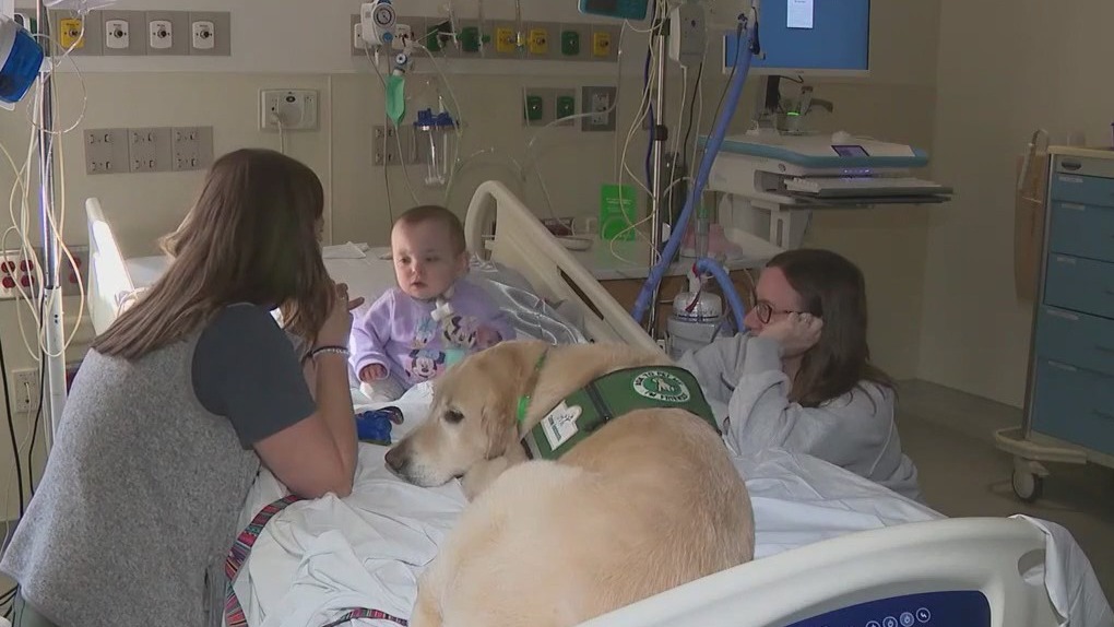 Olaf the dog brings smiles to young patients | FOX 5 Atlanta