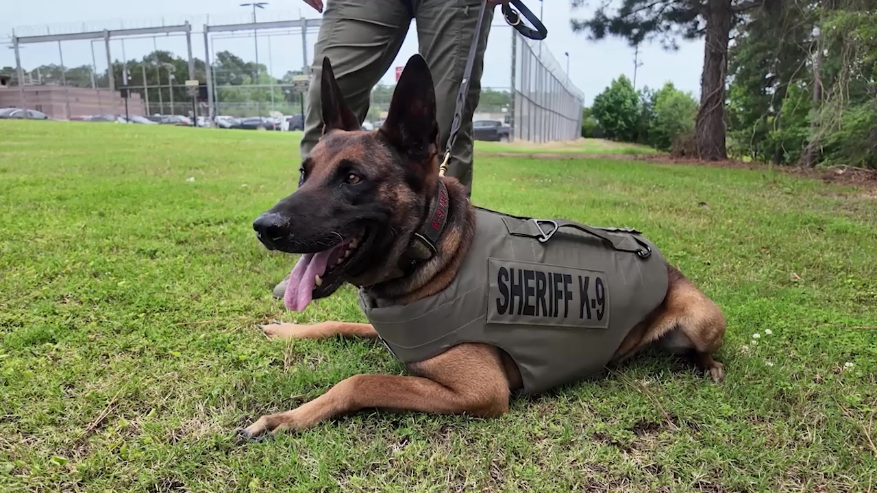 Henry County K9 gets new bullet-proof vest | FOX 5 Atlanta