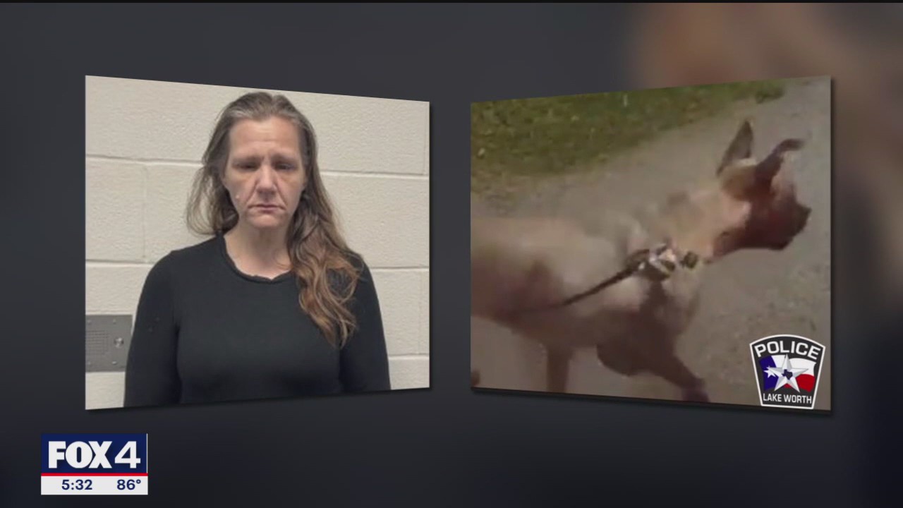 Dog attack owner and boyfriend arrested after mauling | FOX 4 Dallas ...