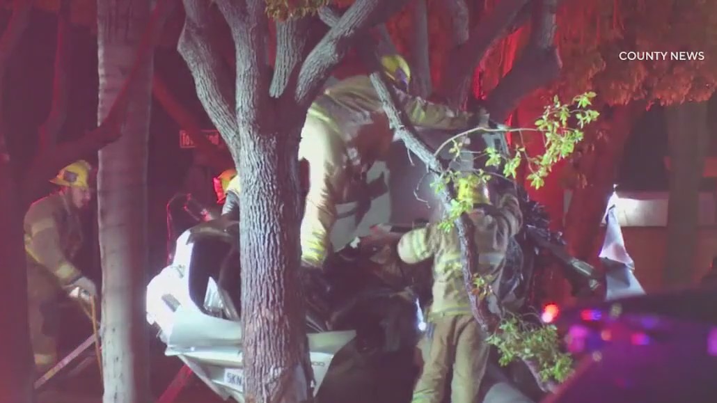 4 dead after car crashes into tree in Santa Ana | FOX 11 Los Angeles