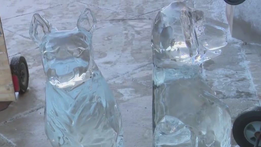 Winter wonderland in Kenosha | FOX6 Milwaukee