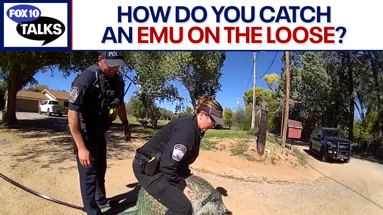 Emu on the loose; Trump to restart nuclear tests | FOX 10 Talks | FOX ...