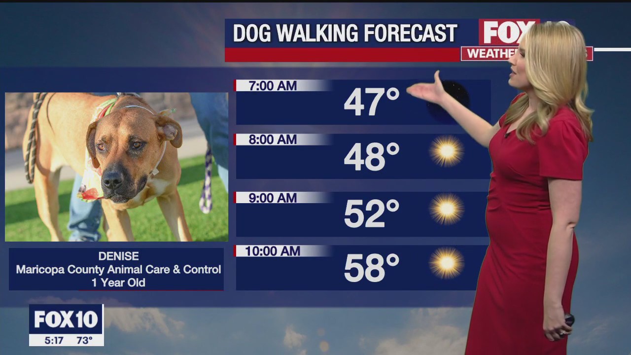5 p.m. Weather Forecast | FOX 10 Phoenix