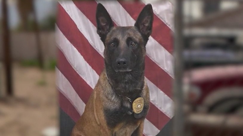 Welder who was injured in K-9 officer attack cannot work, he says | FOX ...