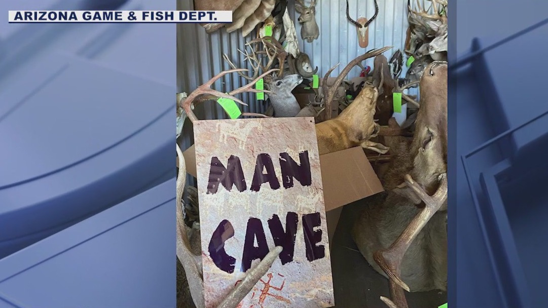 Wildlife assets to be auctioned at AZGFD expo | FOX 10 Phoenix