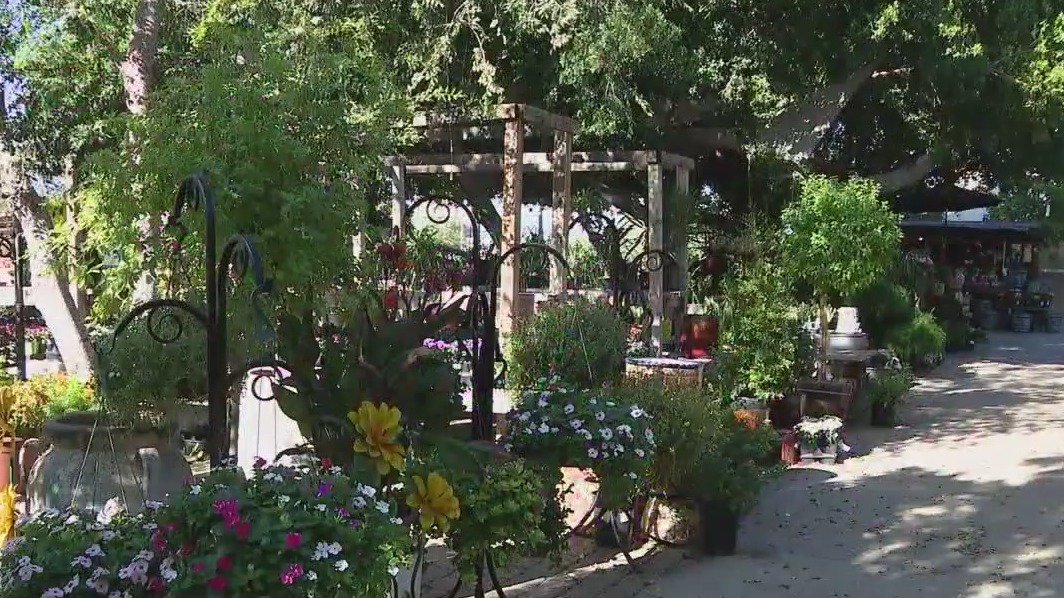 Whitfill Nurseries talks fall planting as temps dip | FOX 10 Phoenix