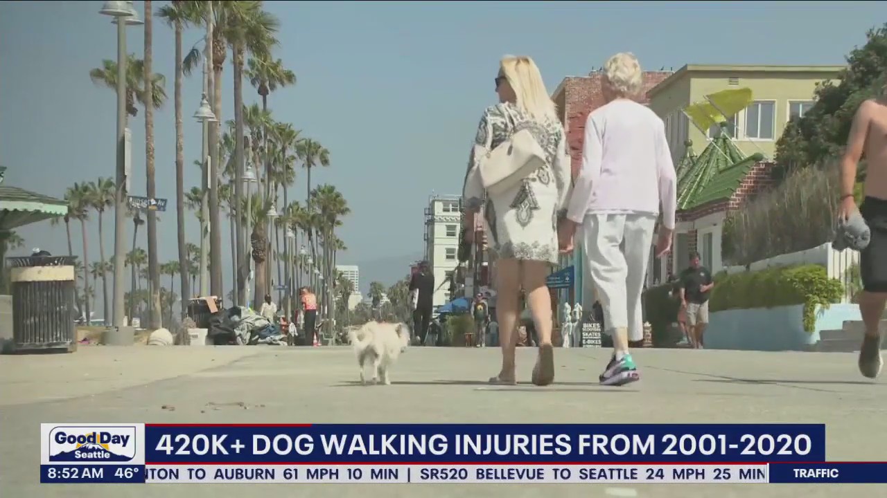 420,000+ dog walking injuries from 2001-2020 | FOX 13 Seattle