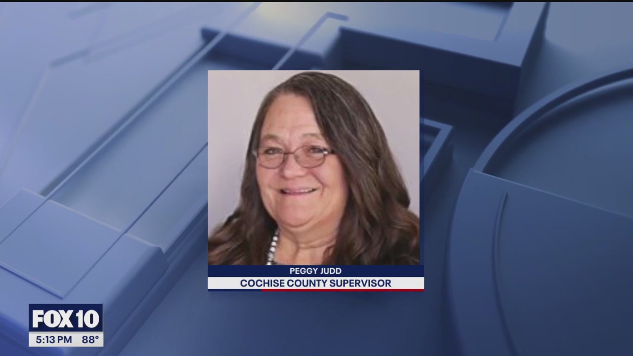 AZ supervisor makes plea deal in election case | FOX 10 Phoenix