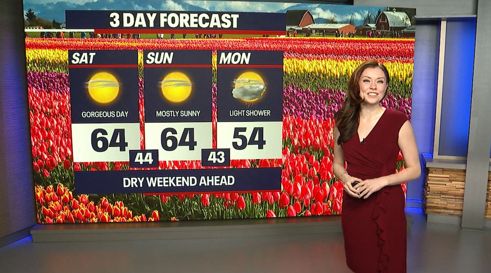 Seattle weather: Mostly sunny weekend | FOX 13 Seattle