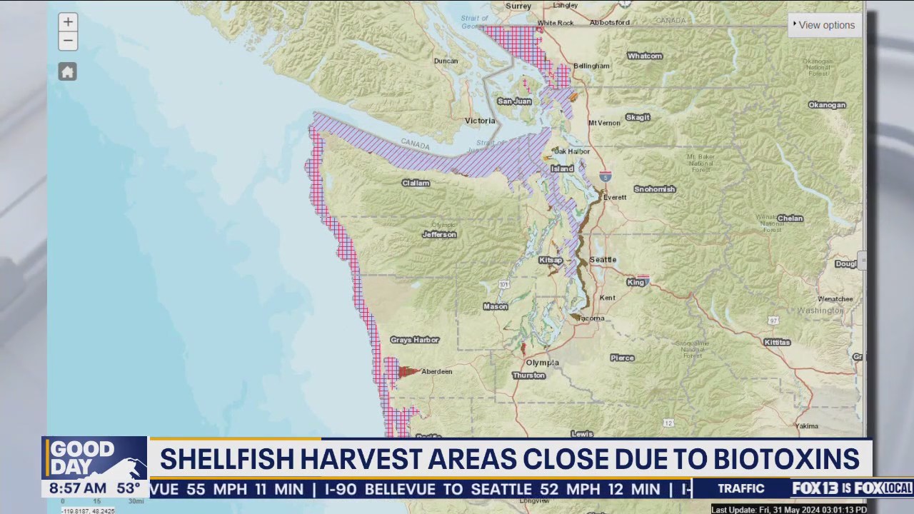 WA shellfish harvest areas close due to biotoxins | FOX 13 Seattle