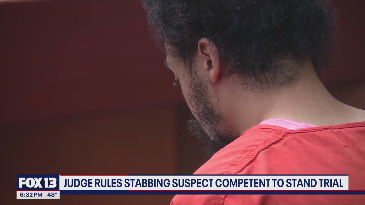 Suspect in Point Defiance Park stabbing deemed fit for trial | FOX 13 ...