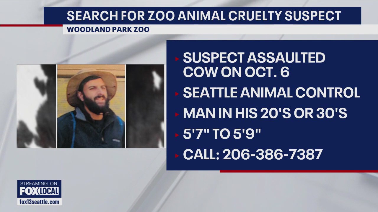 Woodland Park Zoo seeks ID of animal cruelty suspect | FOX 13 Seattle