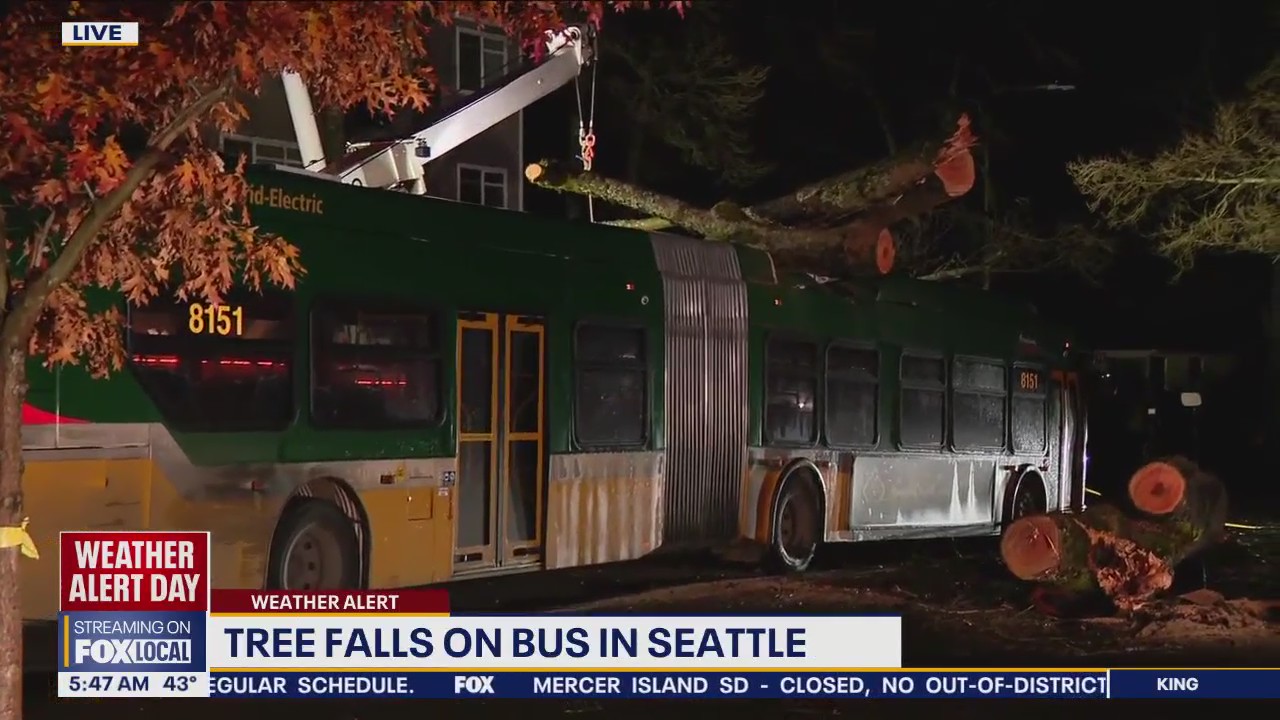 Bomb cyclone causes tree to fall on bus in Seattle | FOX 13 Seattle
