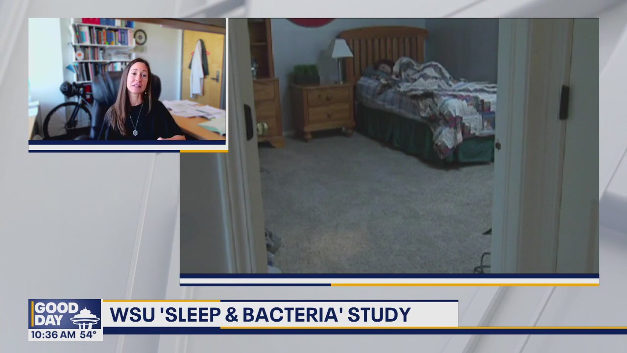 WSU 'Sleep & Bacteria' study | FOX 13 Seattle
