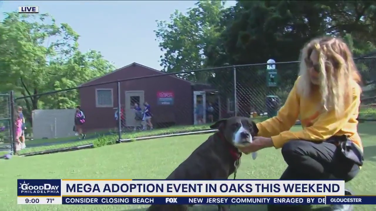 Brandywine Valley SPCA mega adoption event kicks off in Oaks this ...