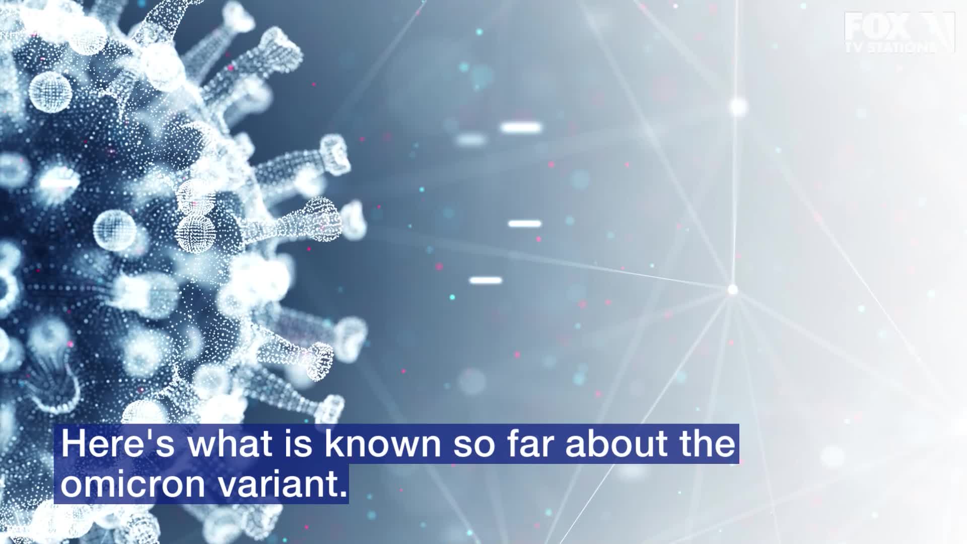 Omicron variant: What to know about the new COVID-19 strain | LiveNOW ...