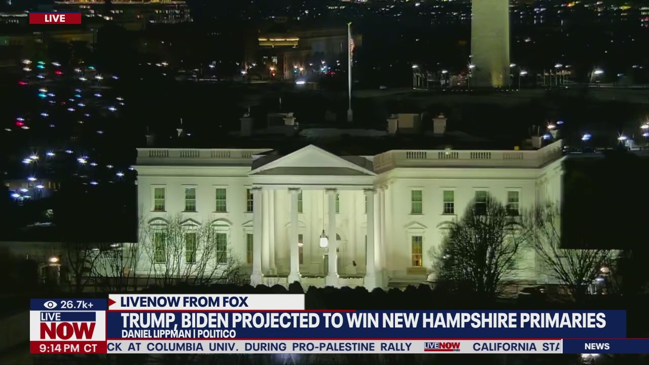 State of 2024 race after New Hampshire primaries | LiveNOW from FOX