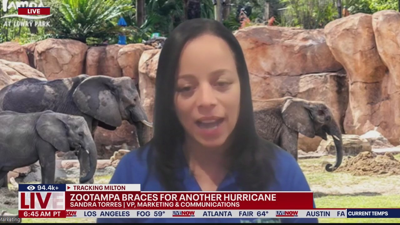 Tracking Milton: Zoo Tampa prepares | LiveNOW from FOX
