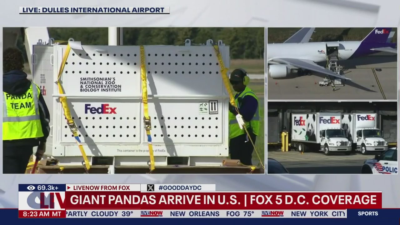 New giant pandas on way to National Zoo | LiveNOW from FOX