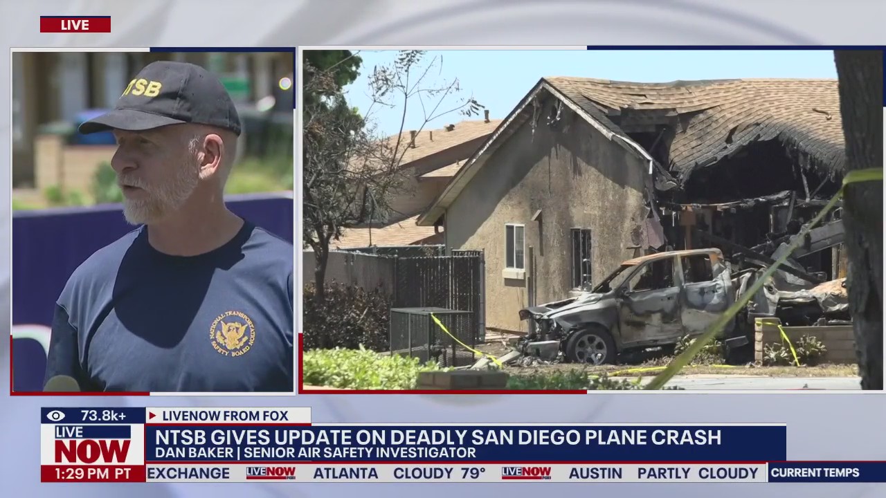 San Diego plane crash: Pilot hit power lines | LiveNOW from FOX