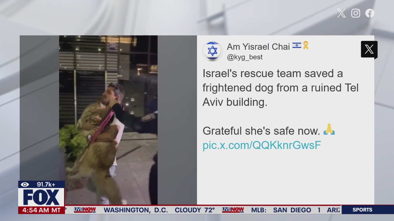 Dog rescued amid Israel-Iran airstrikes | LiveNOW from FOX