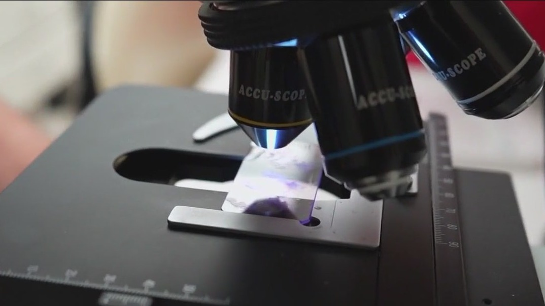 How DNA helps in cracking animal cruelty cases | FOX 35 Orlando