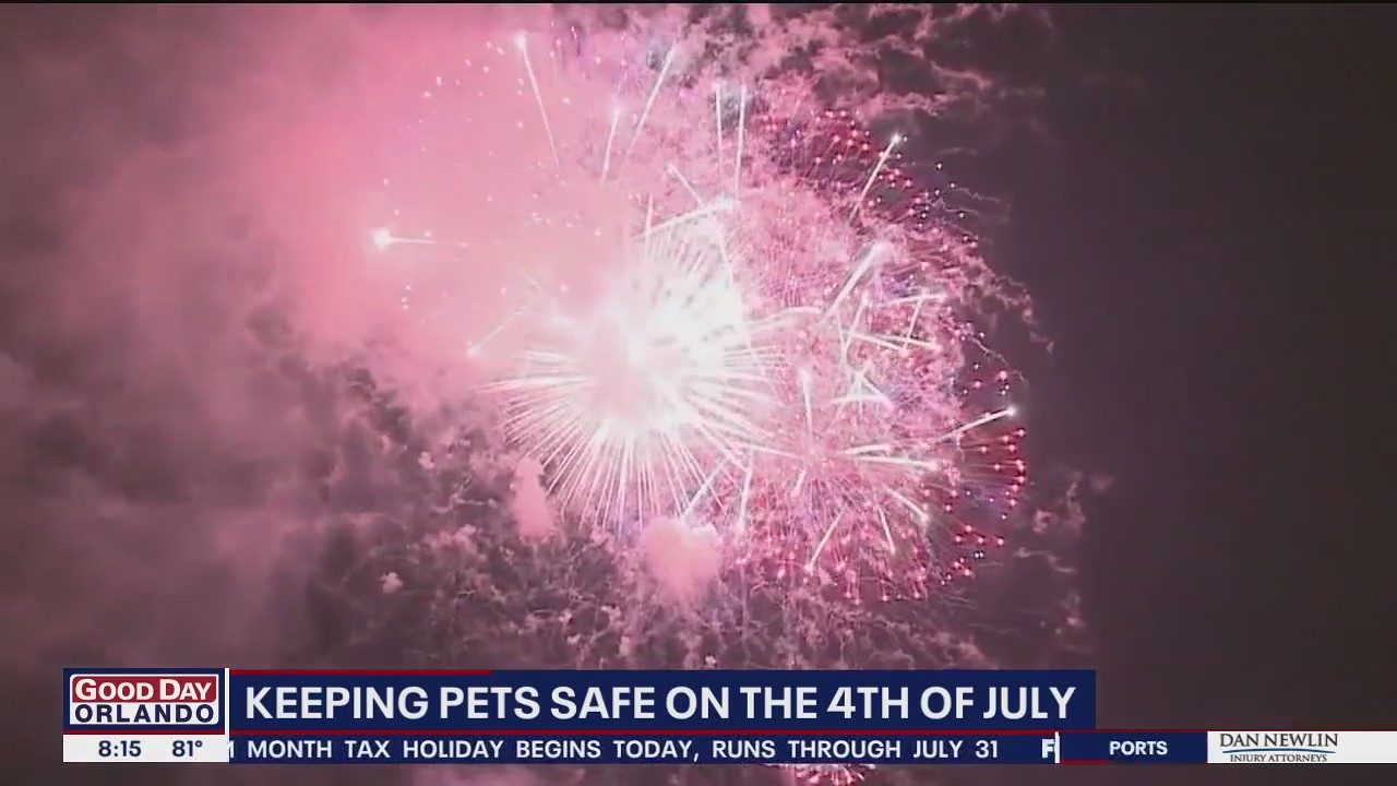 Keeping pets safe on the Fourth of July | FOX 35 Orlando