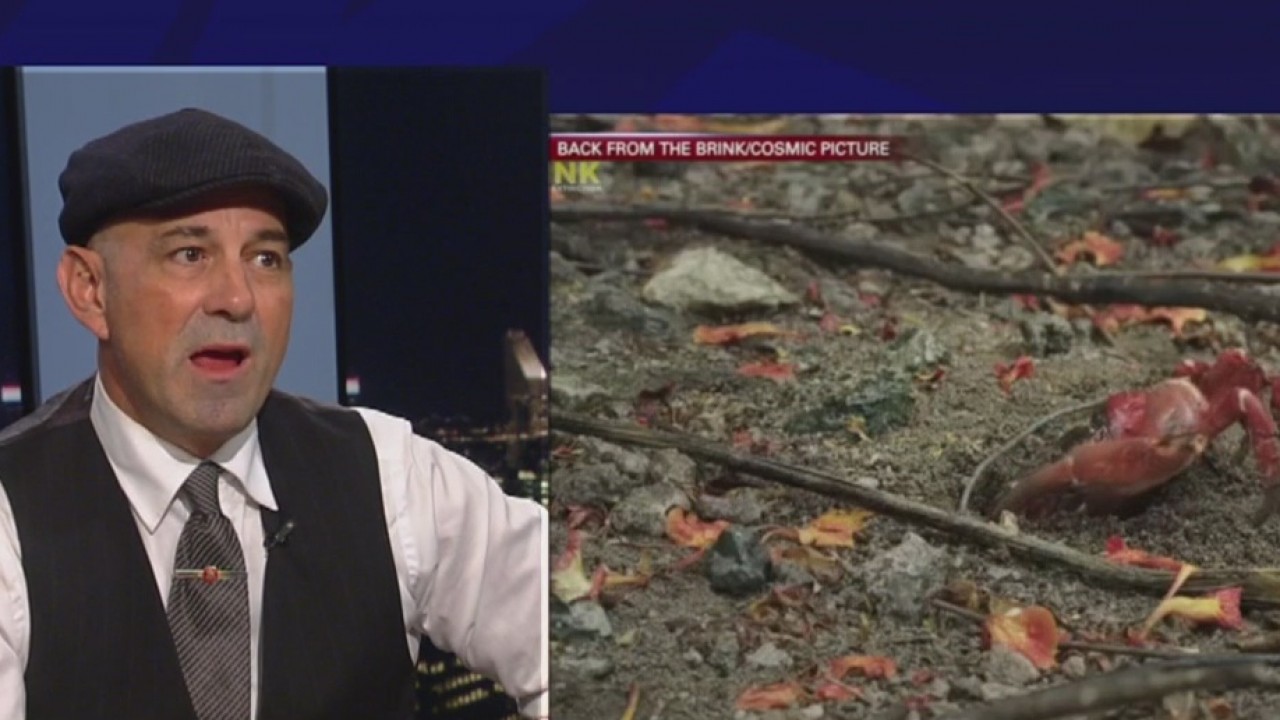 Interview with director Sean Casey | FOX 5 New York