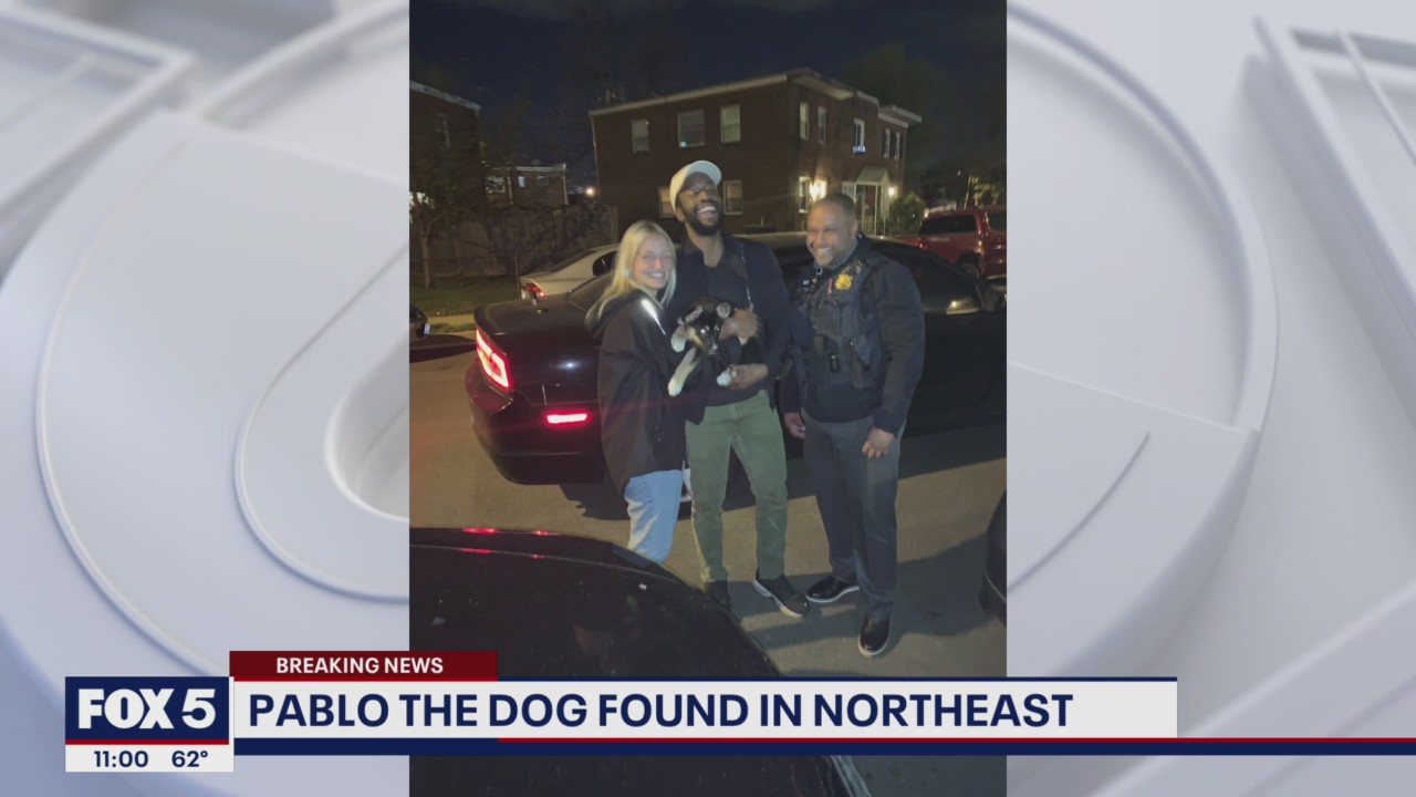 Pablo the dog found in Northeast | FOX 5 DC