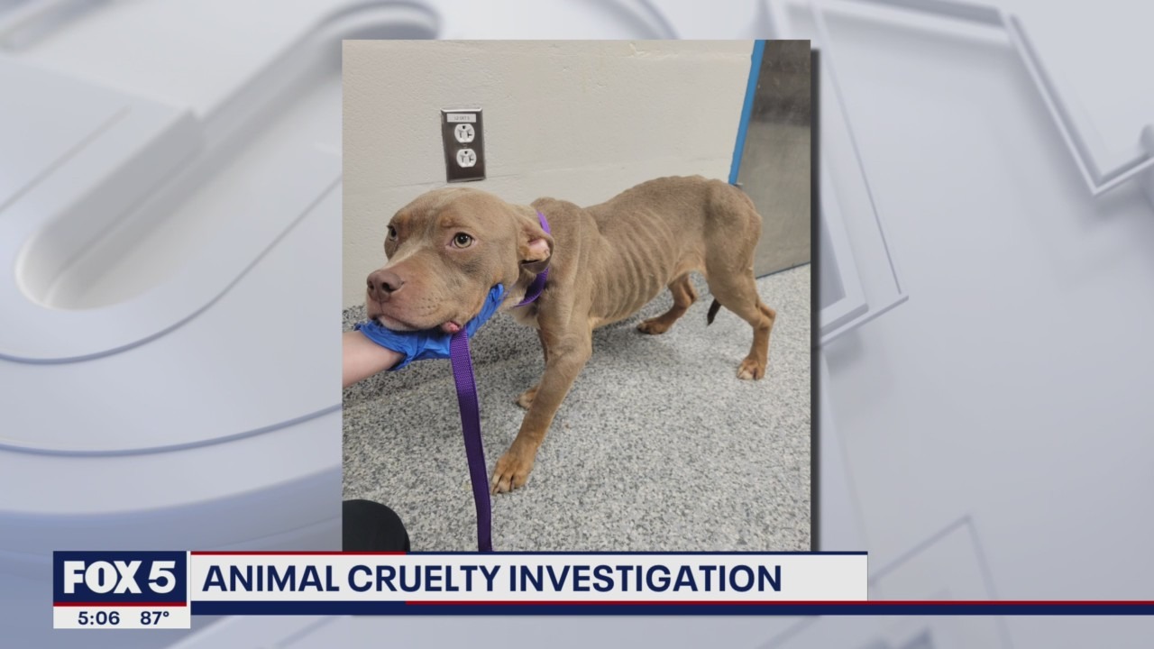 Animal cruelty investigation underway in Manassas | FOX 5 DC