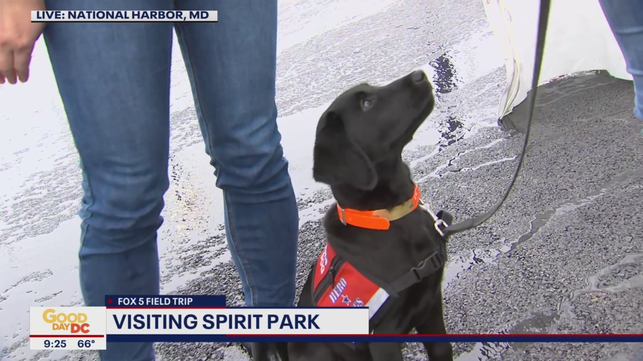 Visiting Spirit Park to commemorate Veteran's Day | FOX 5 DC