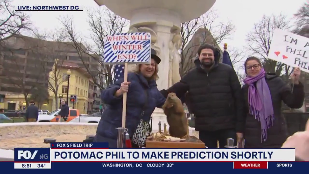 DC groundhog Potomac Phil calls for early spring; 6 more months of ...