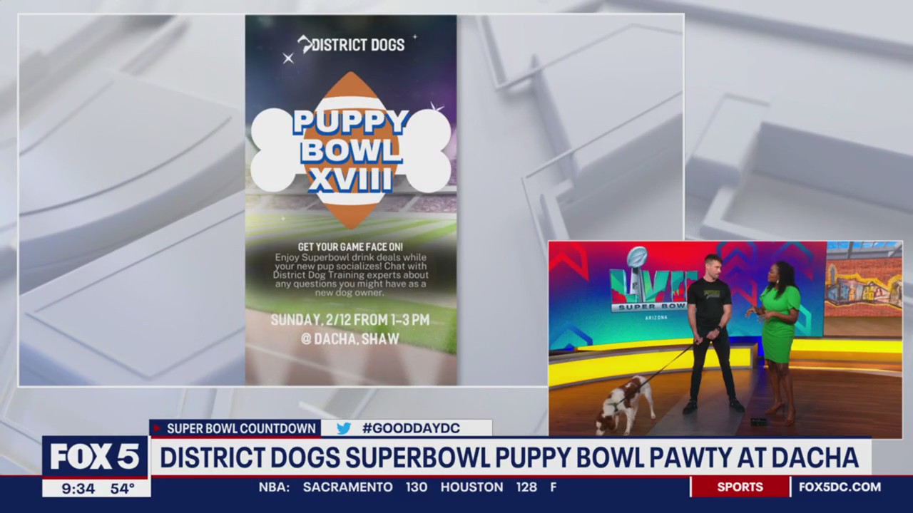 District Dogs hosting Puppy Bowl Pawty at Dacha | FOX 5 DC