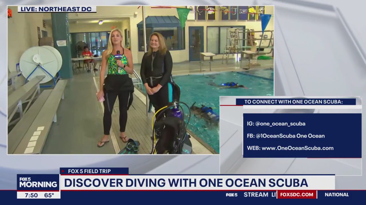 Discover diving with One Ocean Scuba | FOX 5 DC