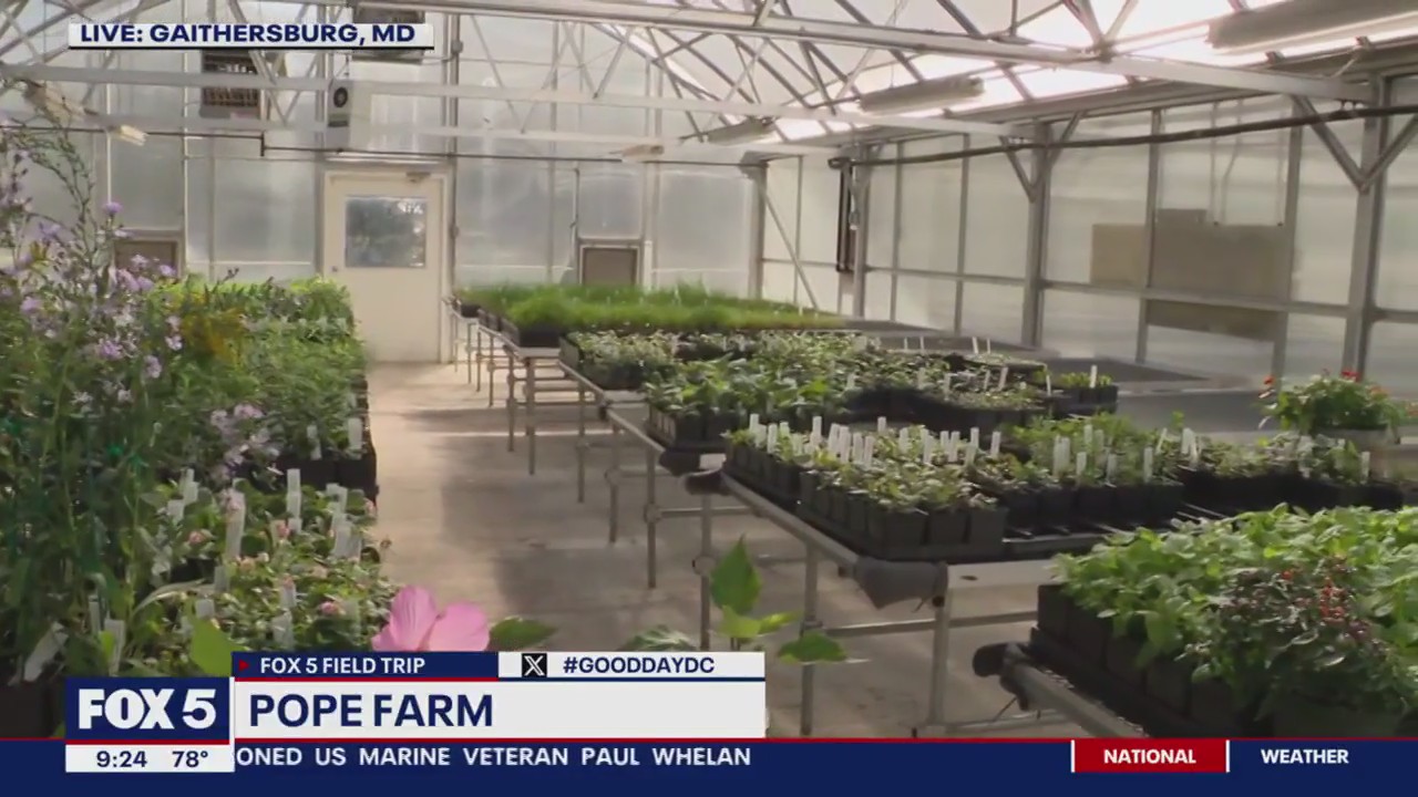 Prep for fall at Pope Farm | FOX 5 DC