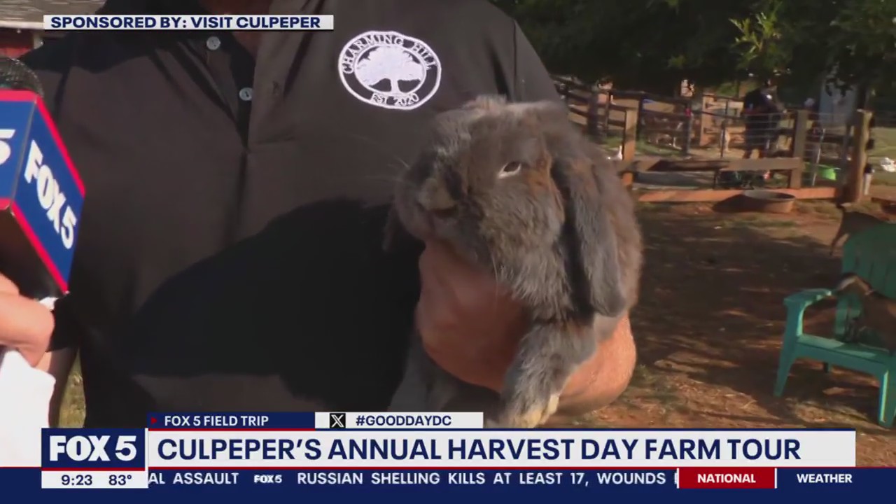 Charm and beauty at Charming HIll Farm | FOX 5 DC