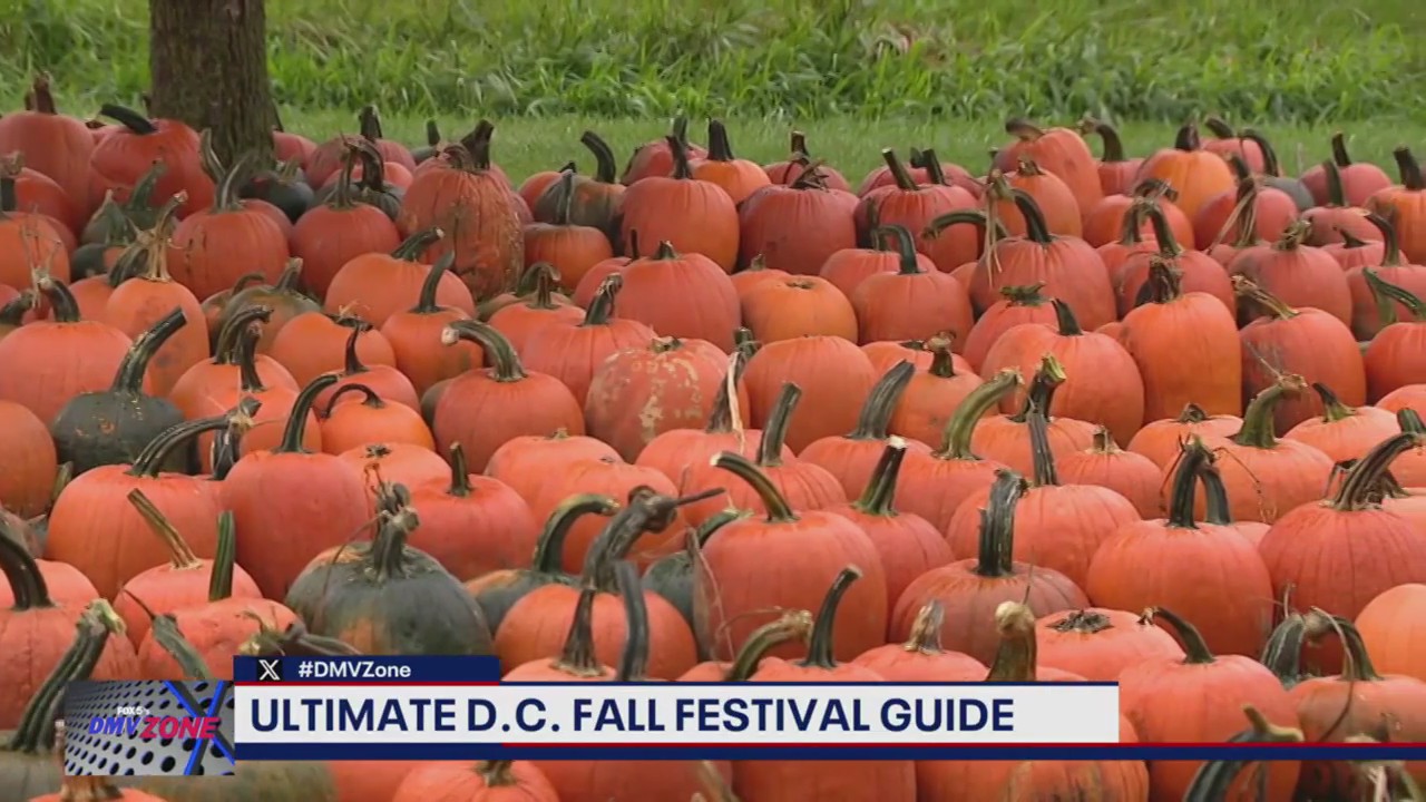 The ultimate DC fall festival guide | FOX 5 DC